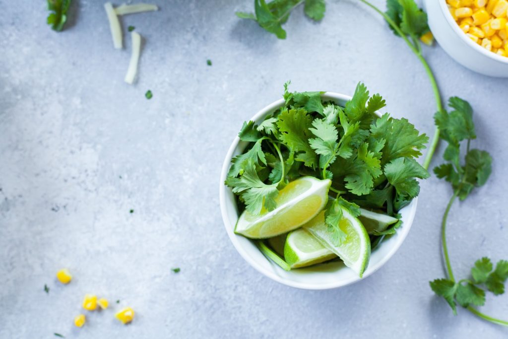 How to Freeze Cilantro: A Quick Step by Step Guide to Keep It Longer