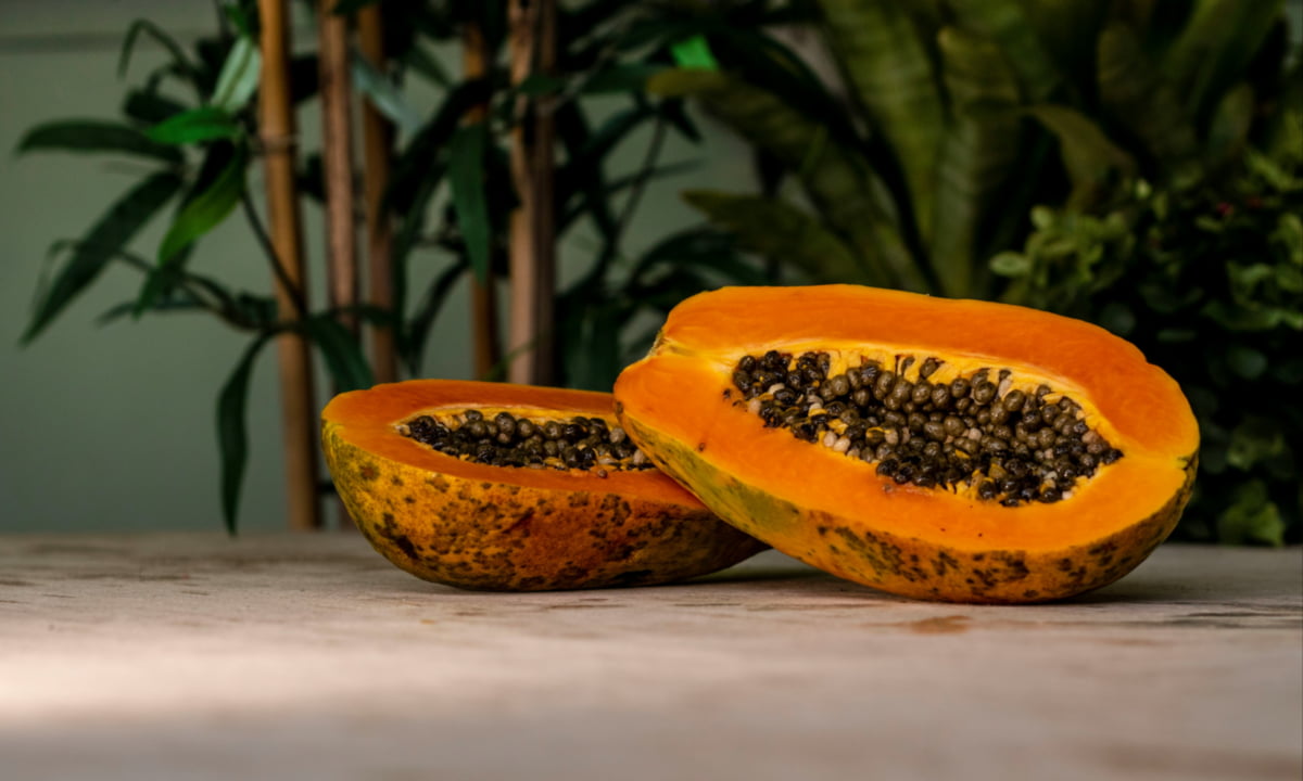 Freezing Papaya: What I Learned and Why I Still Do It