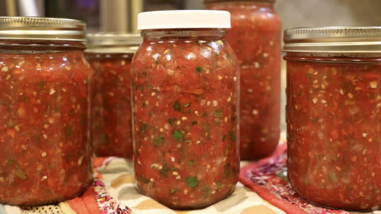 How to Freeze Salsa Without Regrets (Manage Expectations & Get Great ...