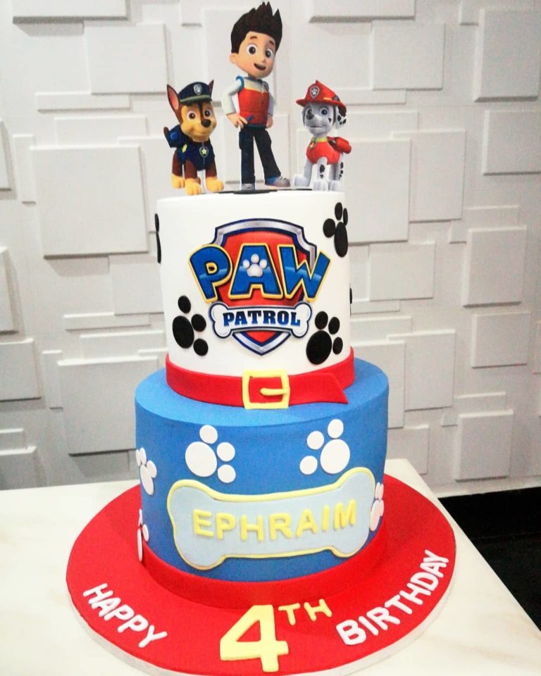 15 Paw Patrol Cake Ideas for Girls & Boys That Are Super-Cool