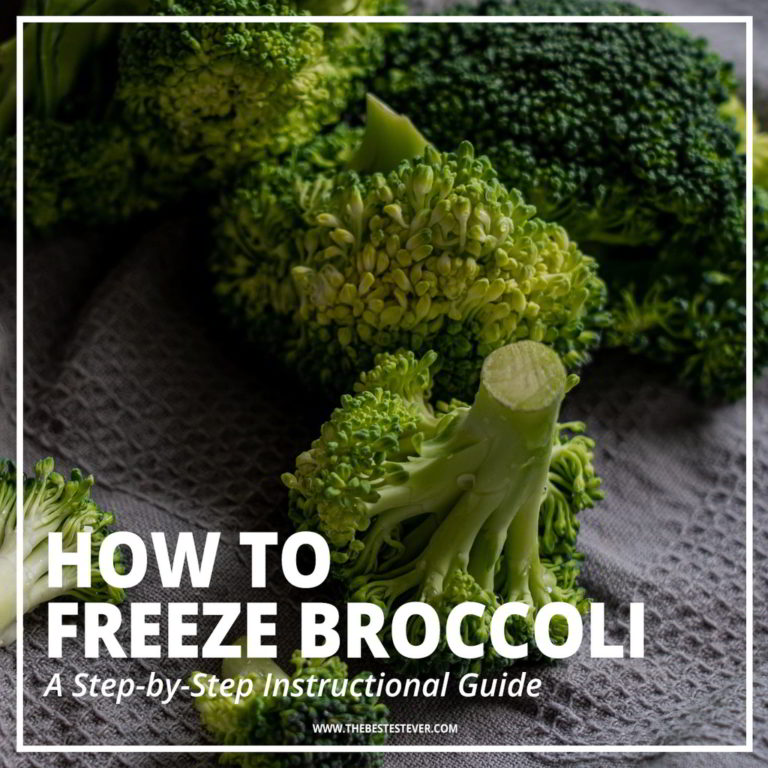 How to Freeze Broccoli (Step-by-Step Instructional Guide)
