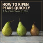 How to Ripen Pears Quickly (2 Best Methods to Get These Fruits Ready)