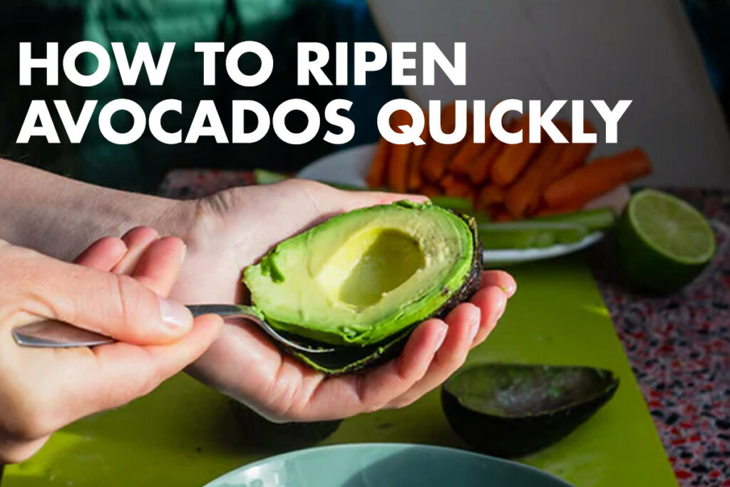 How to Ripen Avocados Quickly (3 Best Methods to Use) How to Ripen Avocados Quickly (3 Best Methods to Use)